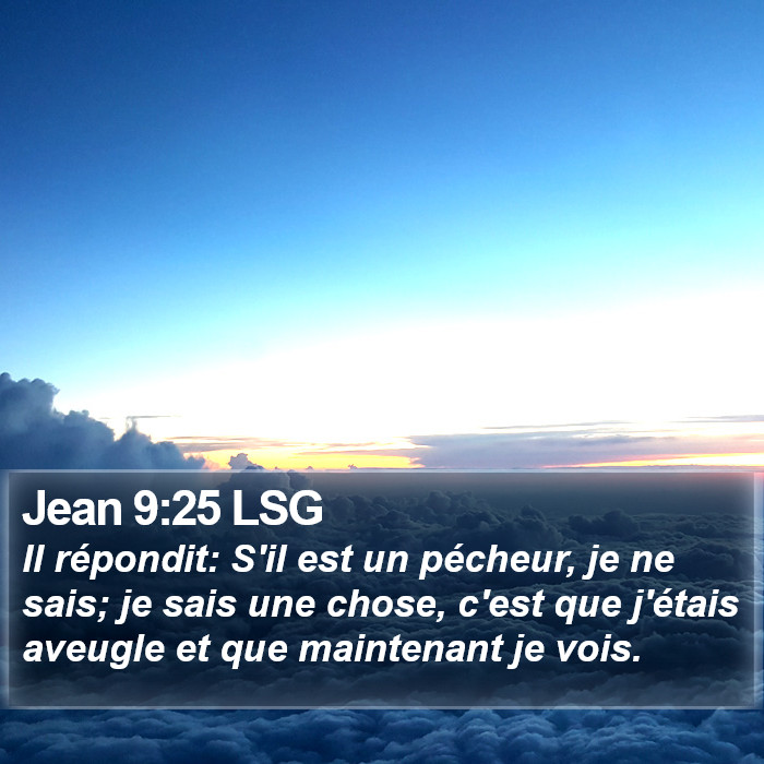 Jean 9:25 LSG - Il répondit: S'il est un pécheur, je ne sais;