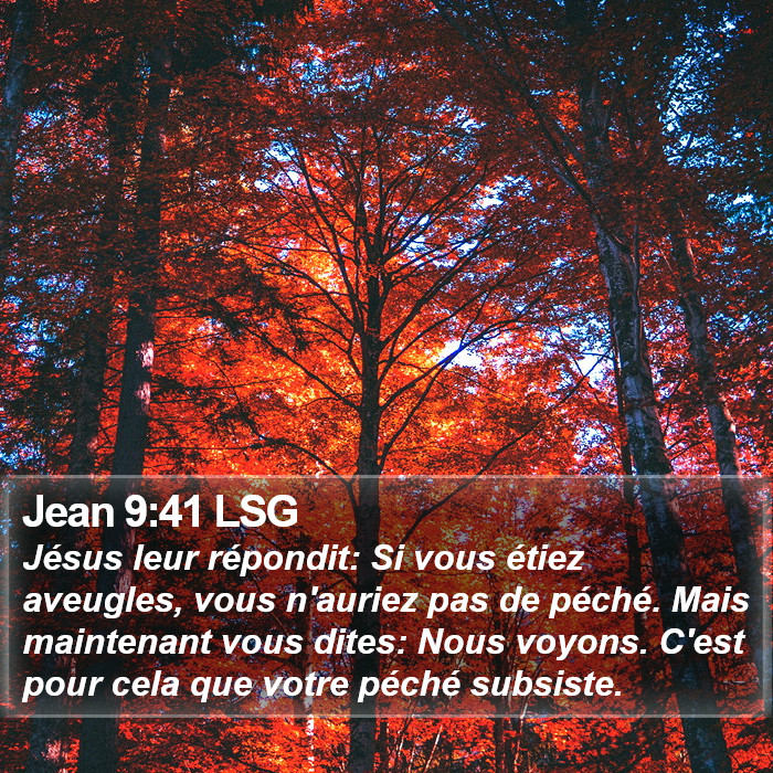 Jean 9 Bible Images - Jean Chapter 9 LSG Bible Verse Pictures