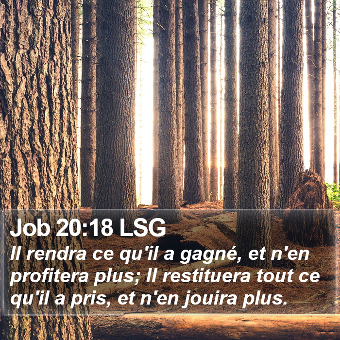 Job 20:18 LSG - Il rendra ce qu'il a gagné, et n'en profitera