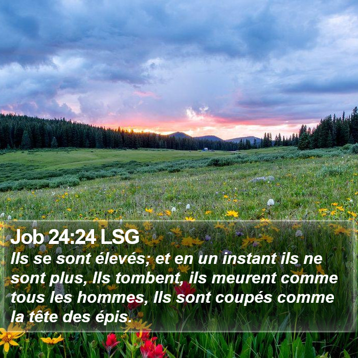 Job 24:24 LSG - Ils se sont élevés; et en un instant ils ne