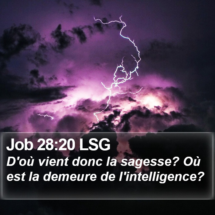 Job 28:20 LSG - D'où vient donc la sagesse? Où est la demeure