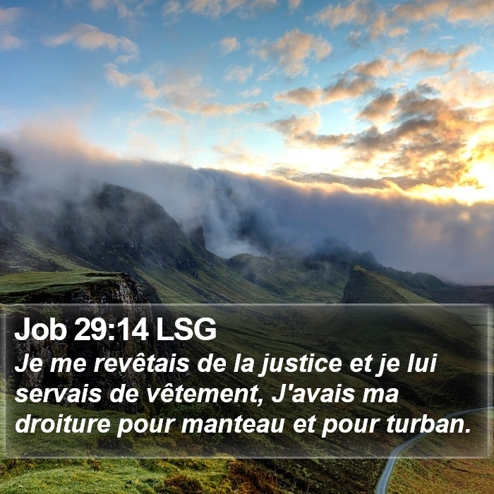 Job 29:14 LSG - Je me revêtais de la justice et je lui servais