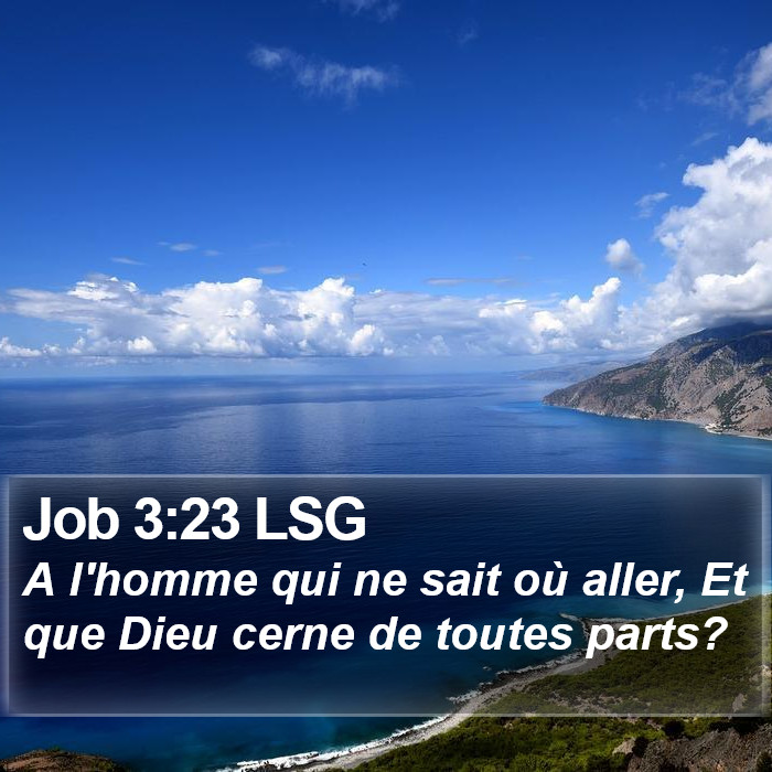 Job 3:23 LSG - A l'homme qui ne sait où aller, Et que Dieu