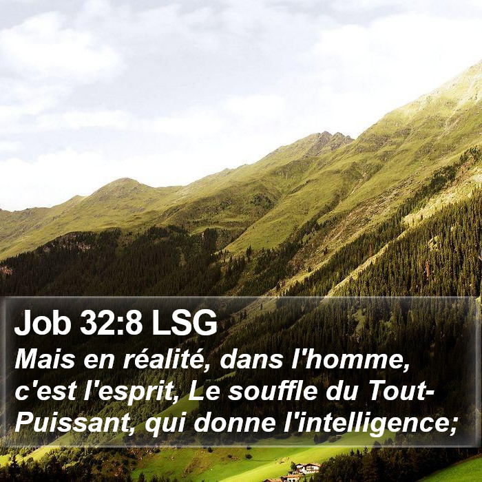 Job 32:8 LSG - Mais en réalité, dans l'homme, c'est l'esprit,