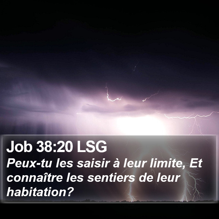 Job 38:20 LSG - Peux-tu les saisir à leur limite, Et connaître