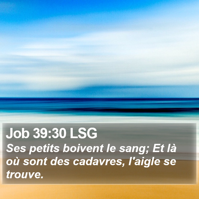 Job 39 Bible Images - Job Chapter 39 LSG Bible Verse Pictures
