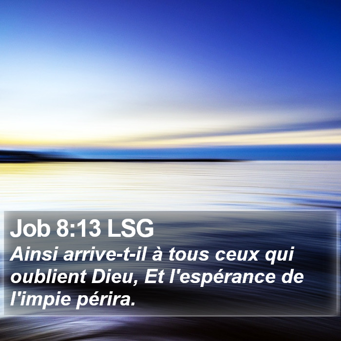 Job 8:13 LSG - Ainsi arrive-t-il à tous ceux qui oublient Dieu,