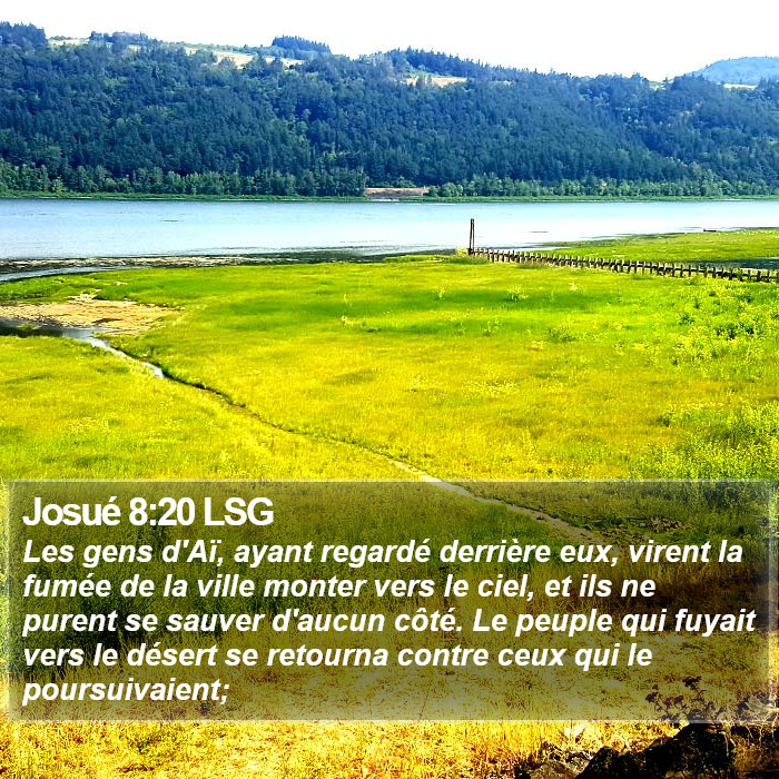 Josué 8:20 LSG - Les gens d'Aï, ayant regardé derrière eux,
