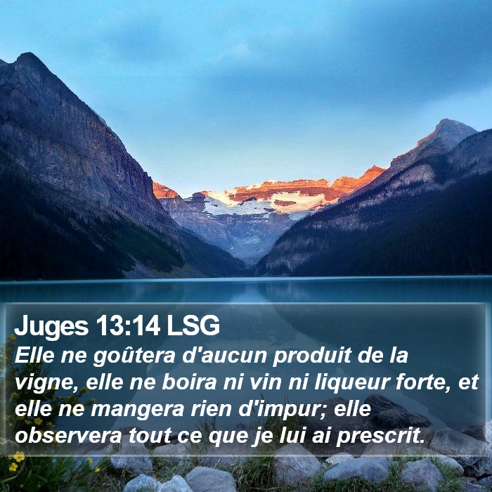 Juges 13:14 LSG - Elle ne goûtera d'aucun produit de la vigne,