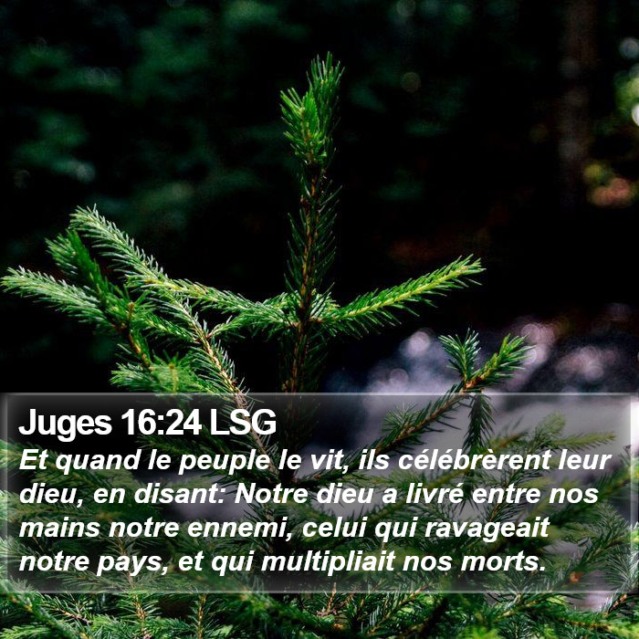 Juges 16:24 LSG - Et quand le peuple le vit, ils célébrèrent