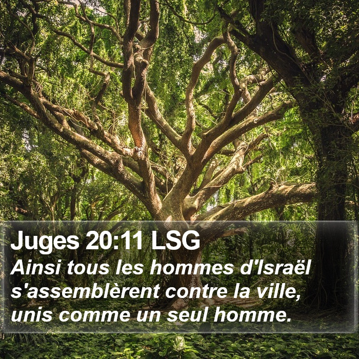 Juges 20:11 LSG - Ainsi tous les hommes d'Israël s'assemblèrent