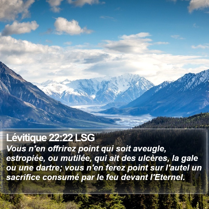 Lévitique 22:22 LSG - Vous n'en offrirez point qui soit aveugle,