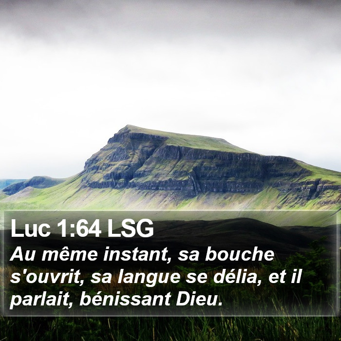 Luc 1:64 LSG - Au même instant, sa bouche s'ouvrit, sa langue