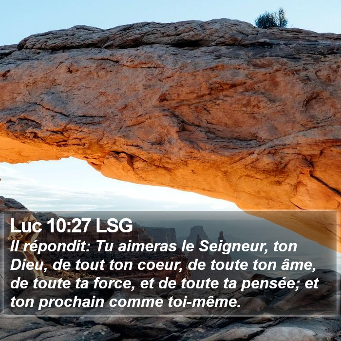 Luc 10:27 LSG - Il répondit: Tu aimeras le Seigneur, ton Dieu,