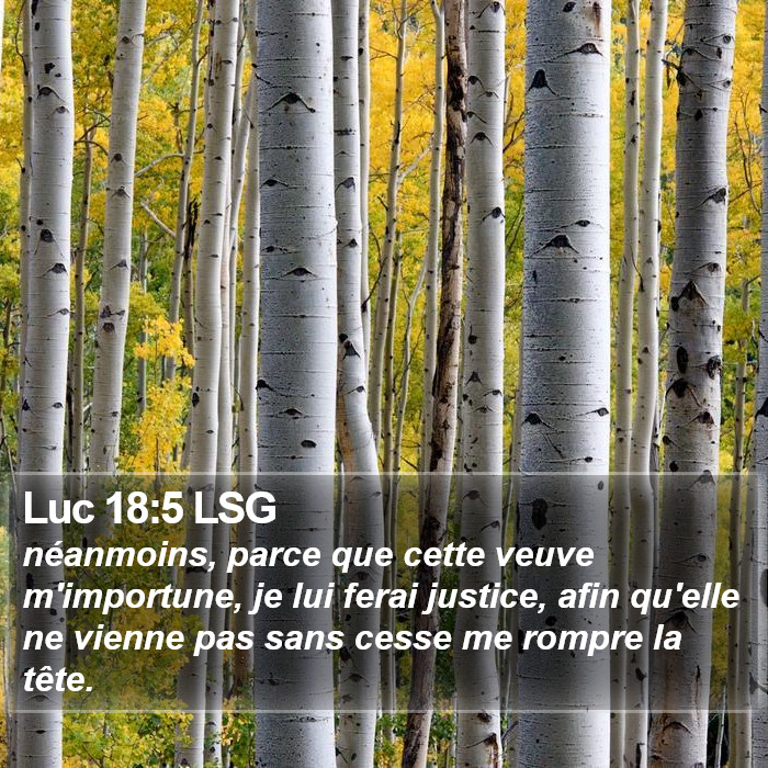 Luc 18:5 LSG - néanmoins, parce que cette veuve m'importune, je