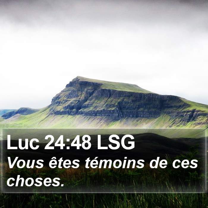Luc 24:48 LSG - Vous êtes témoins de ces