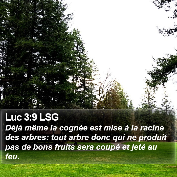 Luc 3:9 LSG - Déjà même la cognée est mise à la racine des