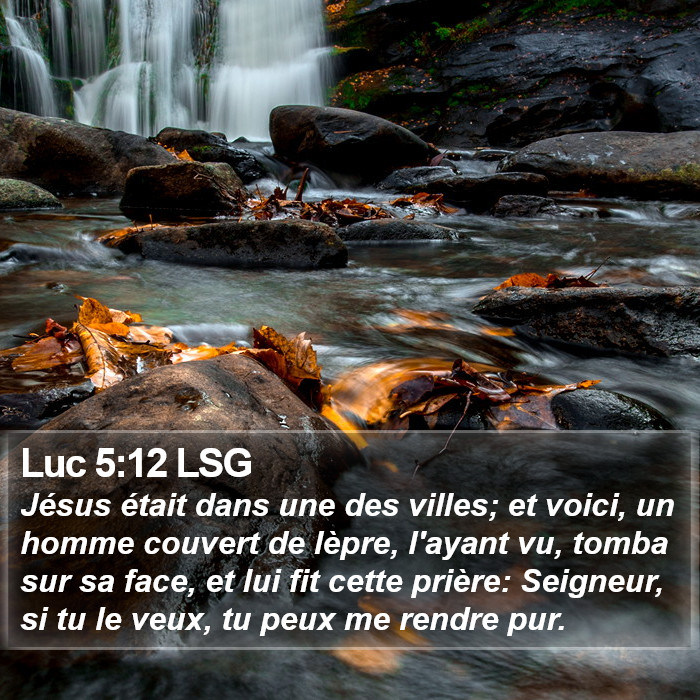 Luc 5:12 LSG - Jésus était dans une des villes; et voici, un