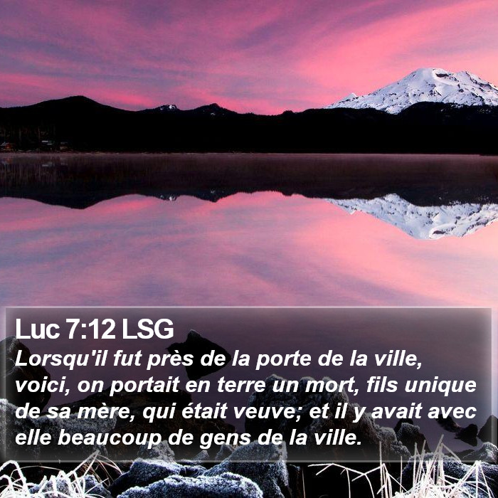 Luc 7:12 LSG - Lorsqu'il fut près de la porte de la ville,