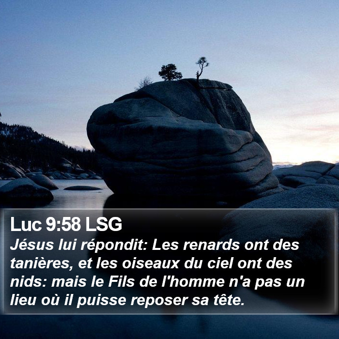Luc 9:58 LSG - Jésus lui répondit: Les renards ont des