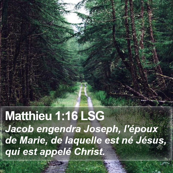 Matthieu 1:16 LSG - Jacob engendra Joseph, l'époux de Marie, de