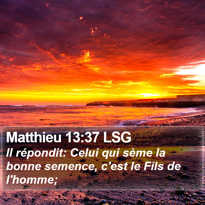 Matthieu 13:37 LSG - Il répondit: Celui qui sème la bonne semence,