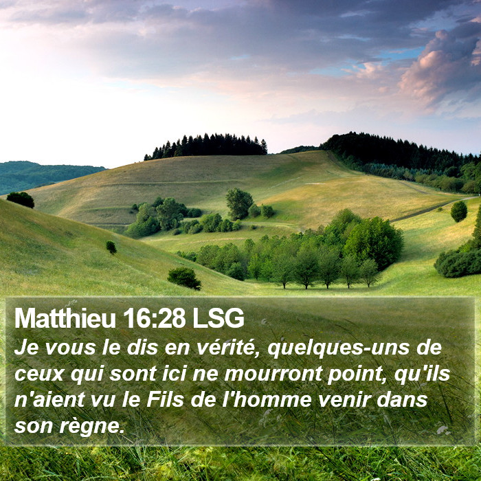 Matthieu 16 Bible Images - Matthieu Chapter 16 LSG Bible Verse Pictures