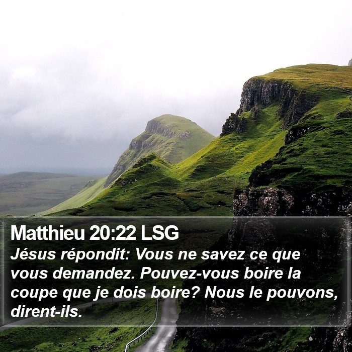 Matthieu 20:22 LSG - Jésus répondit: Vous ne savez ce que vous