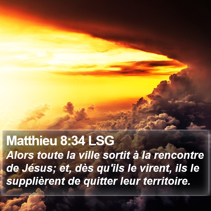 Matthieu 8 Bible Images - Matthieu Chapter 8 LSG Bible Verse Pictures