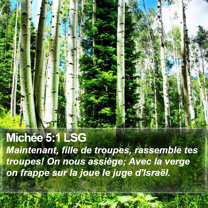 Michée 5:1 LSG - Maintenant, fille de troupes, rassemble tes