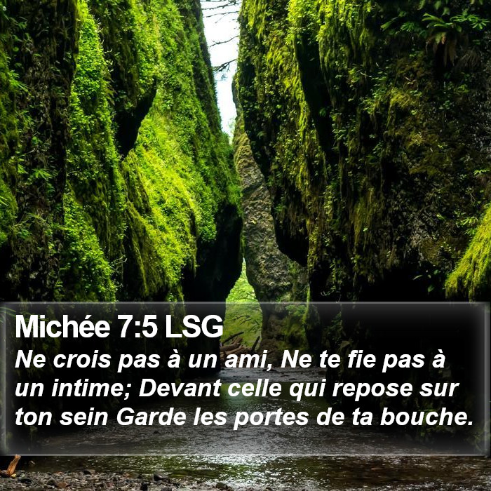 Michée 7:5 LSG - Ne crois pas à un ami, Ne te fie pas à un