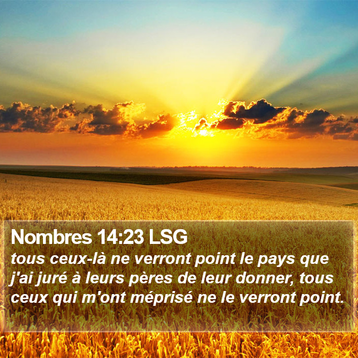 Nombres 14:23 LSG - tous ceux-là ne verront point le pays que j'ai