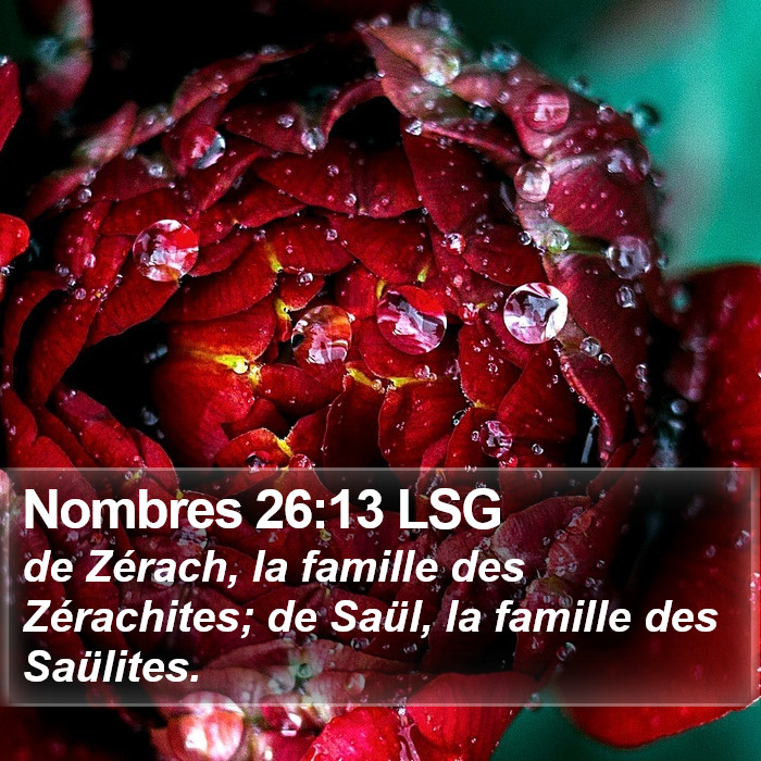 Nombres 26:13 LSG - de Zérach, la famille des Zérachites; de Saül,