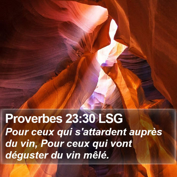 Proverbes 23:30 LSG - Pour ceux qui s'attardent auprès du vin, Pour