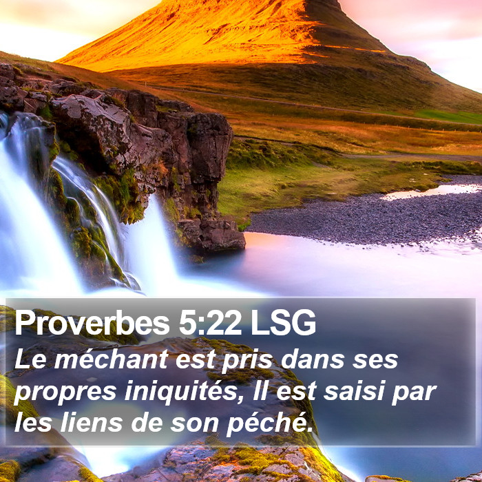 Proverbes 5:22 LSG - Le méchant est pris dans ses propres iniquités,