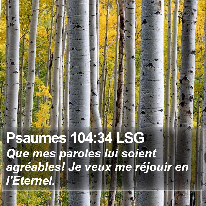 Psaumes 104:34 LSG - Que mes paroles lui soient agréables! Je veux me
