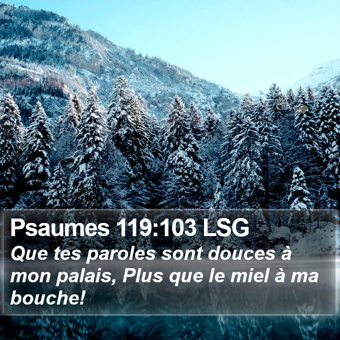 Psaumes 119:103 LSG - Que tes paroles sont douces à mon palais, Plus