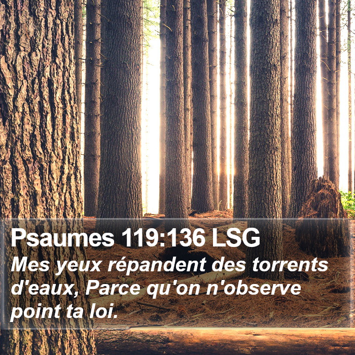 Psaumes 119:136 LSG - Mes yeux répandent des torrents d'eaux, Parce
