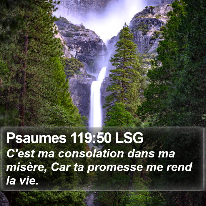 Psaumes 119:50 LSG - C'est ma consolation dans ma misère, Car ta