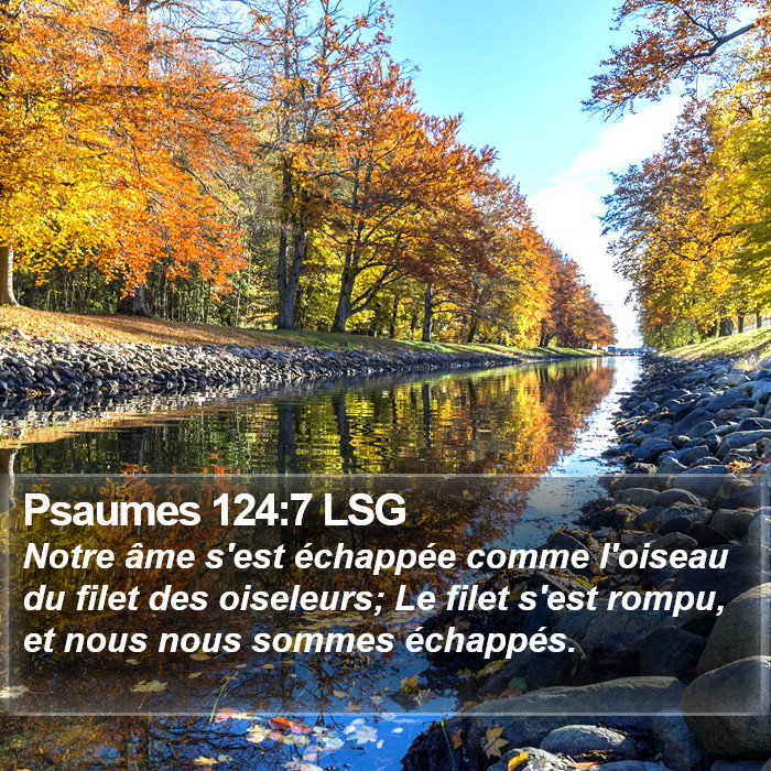Psaumes 124:7 LSG - Notre âme s'est échappée comme l'oiseau du