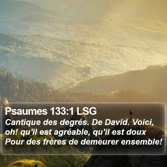 Psaumes 133:1 LSG - Cantique des degrés. De David. Voici, oh! qu'il