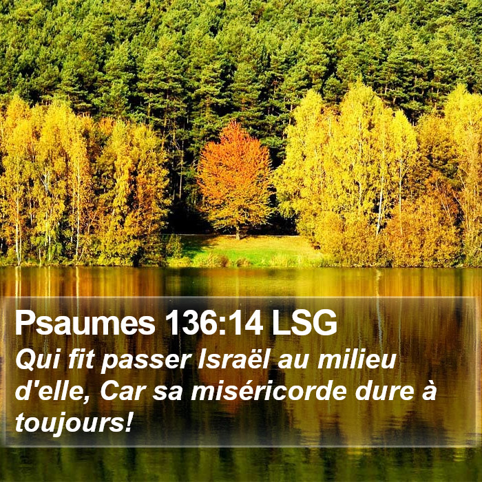 Psaumes 136:14 LSG - Qui fit passer Israël au milieu d'elle, Car sa