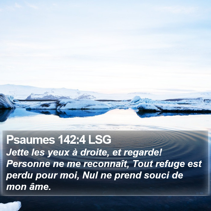 Psaumes 142:4 LSG - Jette les yeux à droite, et regarde! Personne ne