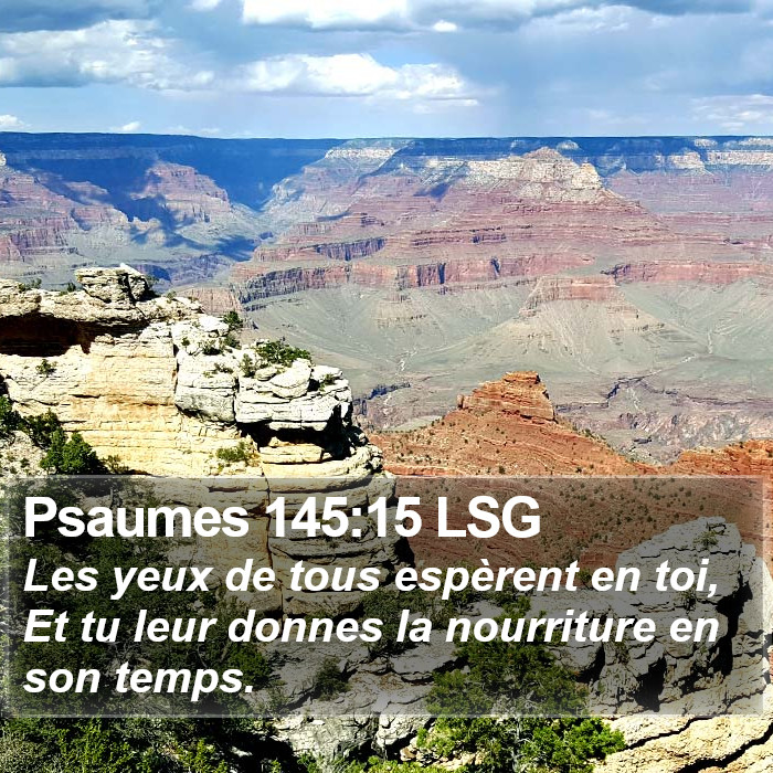 Psaumes 145:15 LSG - Les yeux de tous espèrent en toi, Et tu leur