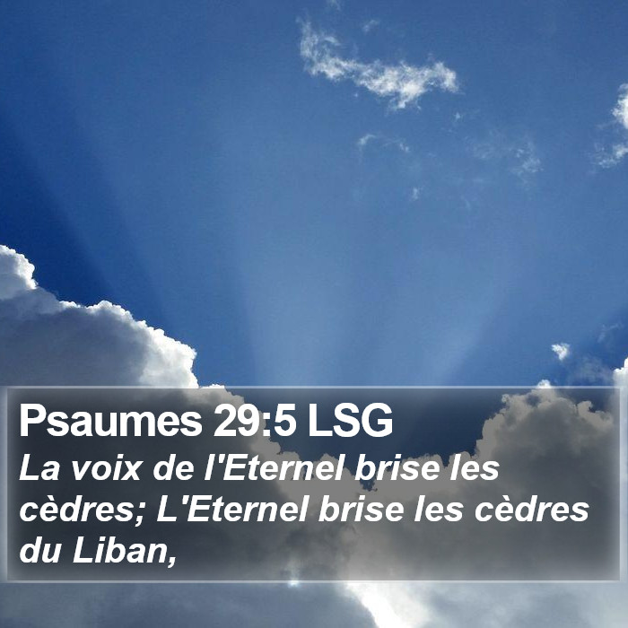 Psaumes 29:5 LSG - La voix de l'Eternel brise les cèdres; L'Eternel