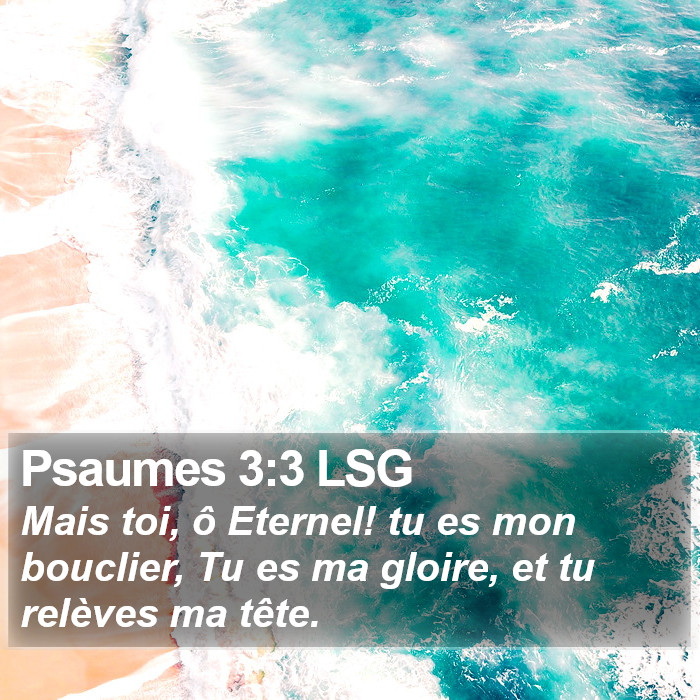 Psaumes 3:3 LSG - Mais toi, ô Eternel! tu es mon bouclier, Tu es