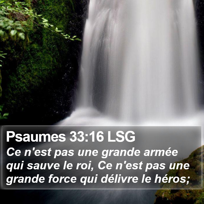 Psaumes 33:16 LSG - Ce n'est pas une grande armée qui sauve le roi,