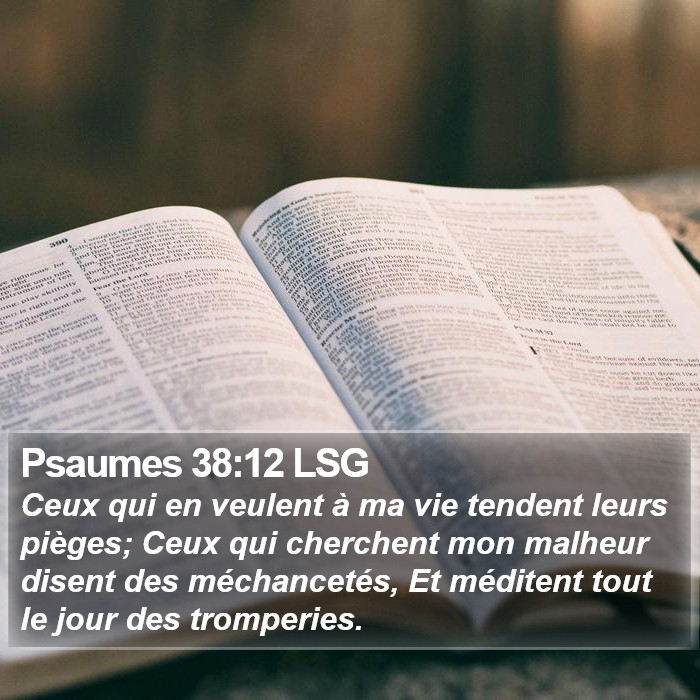 Psaumes 38:12 LSG - Ceux qui en veulent à ma vie tendent leurs