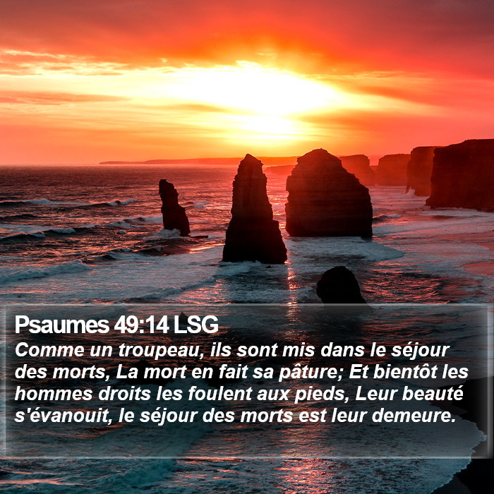 Psaumes 49:14 LSG - Comme un troupeau, ils sont mis dans le séjour