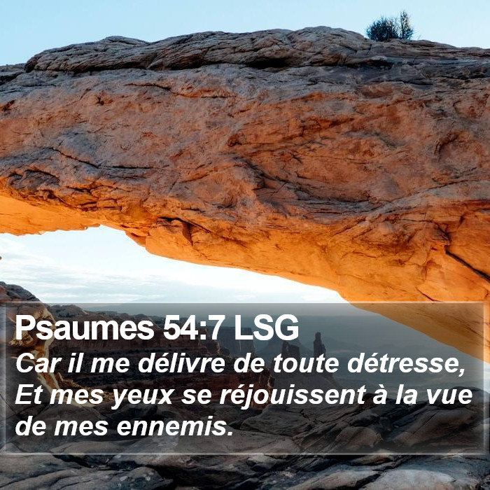 Psaumes 54 Bible Images - Psaumes Chapter 54 LSG Bible Verse Pictures